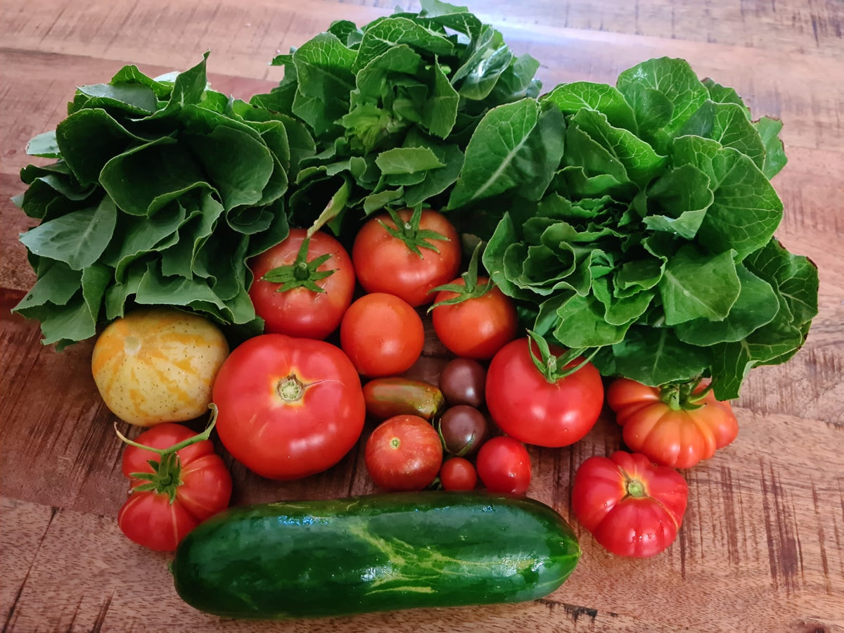 Heirloom News – The NEL Group